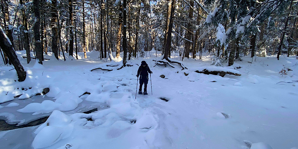 Visit to Champney Falls – Redline Guiding