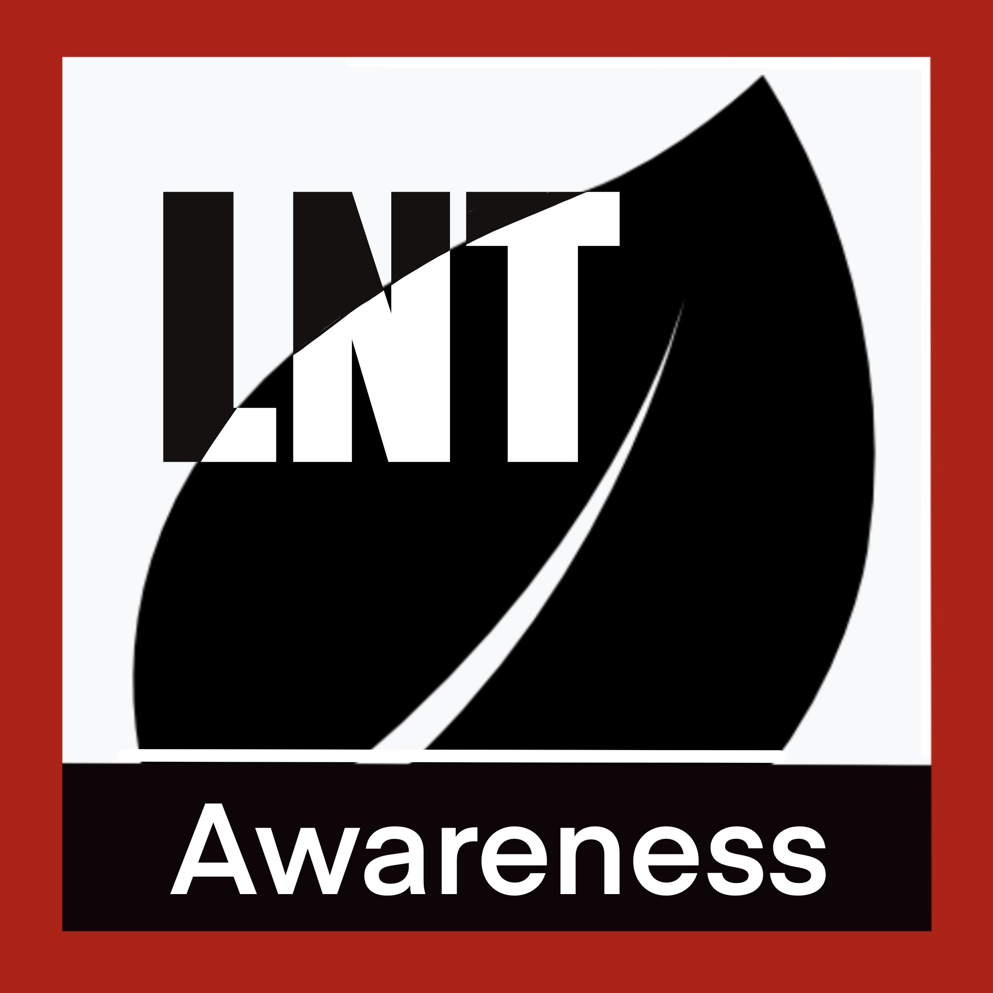 Portering, Rescues, LNT Awareness, Companion Hikes, and Other Services