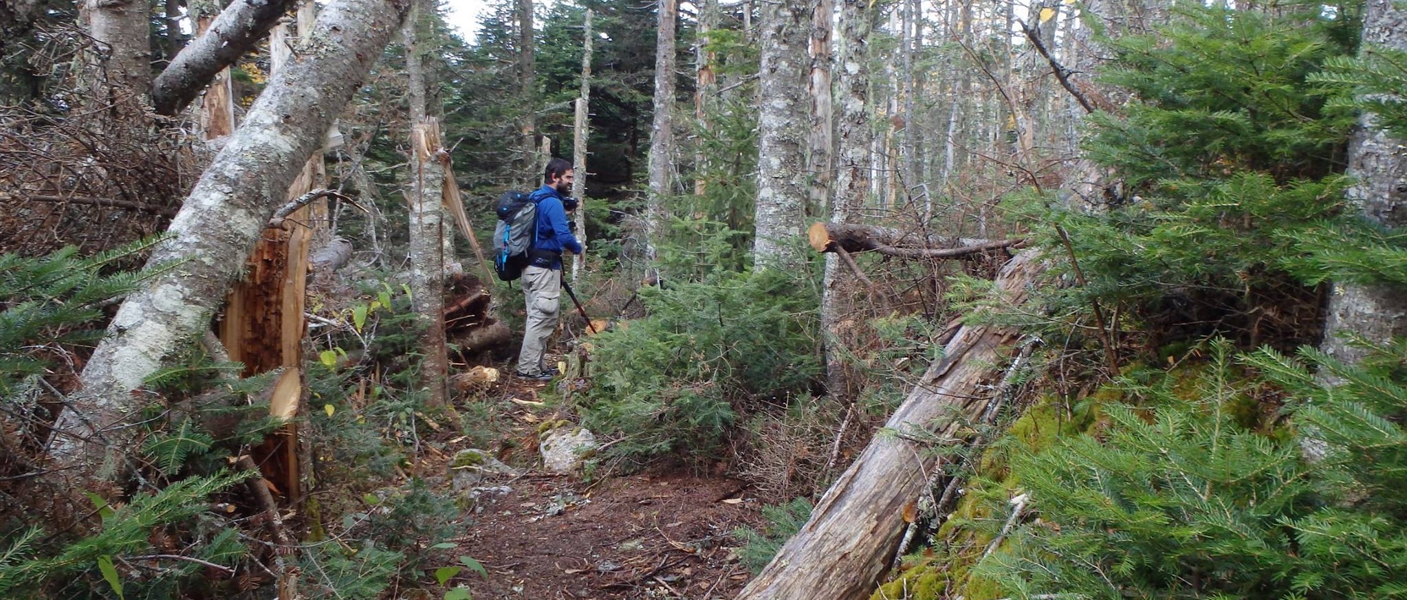 Exploring the White Mountain National Forest's Six Wilderness Areas