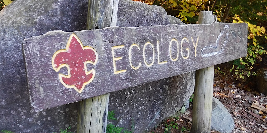 Teaching Camp Craft to Boy Scouts and BSA Leaders