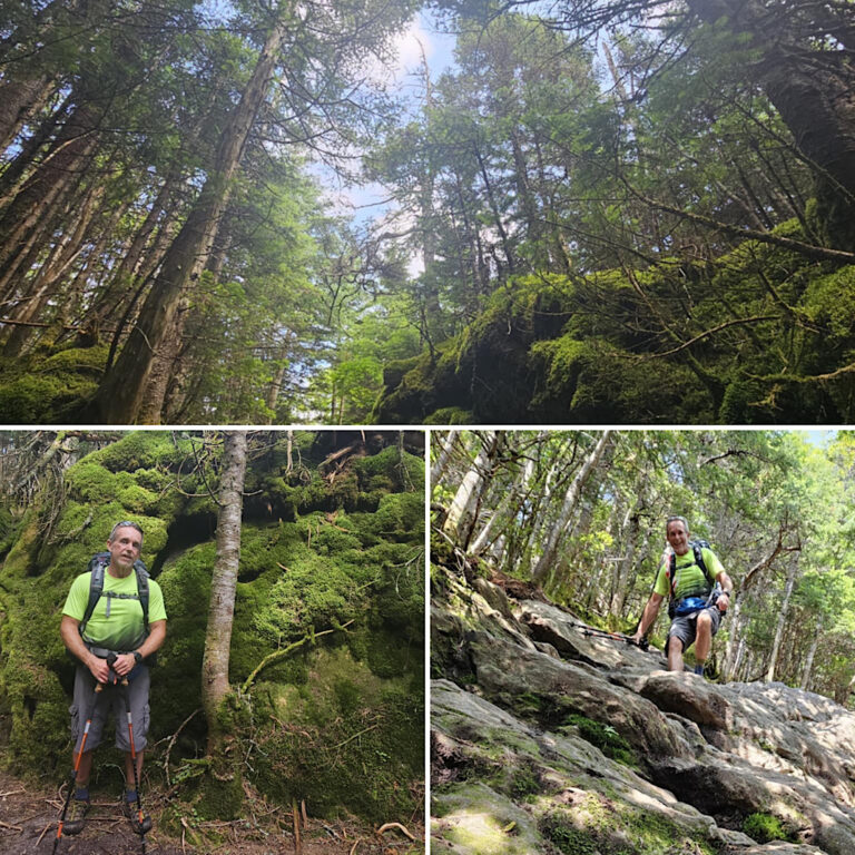 Pemi Piece of Cake – Redline Guiding